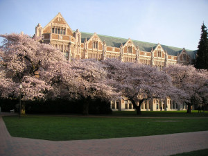 PA Programs Washington State | PA School Requirements